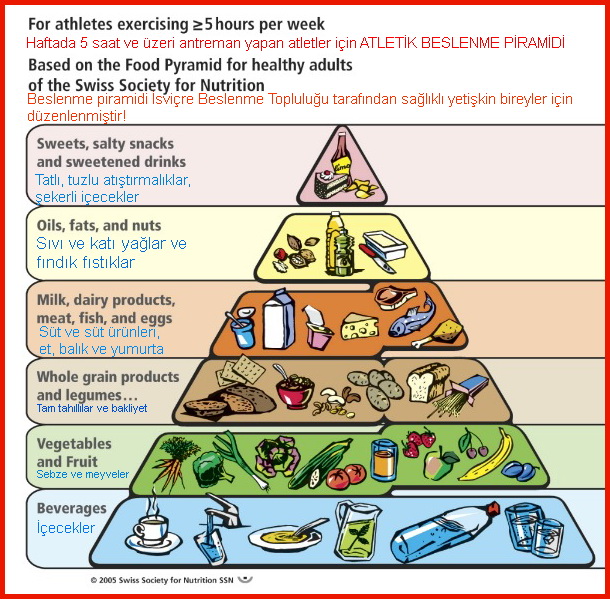 SPOREL blog | Olimpik Sporcu Beslenmesi ve Kişiye Özel Sağlık Yönetimi